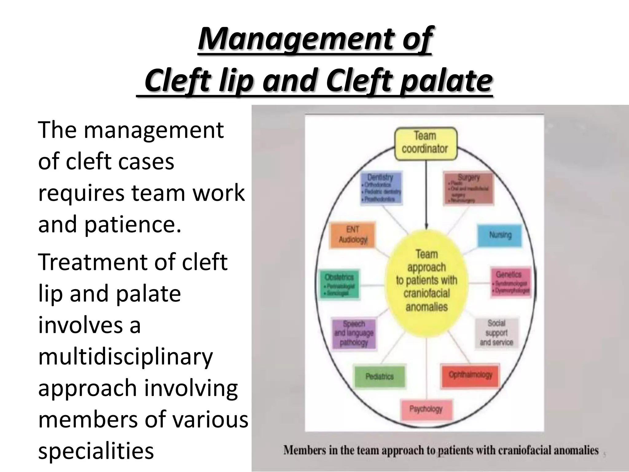 Cleft lip & cleft palate | PPTX