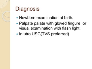 Cleft lip cleft palate | PPTX