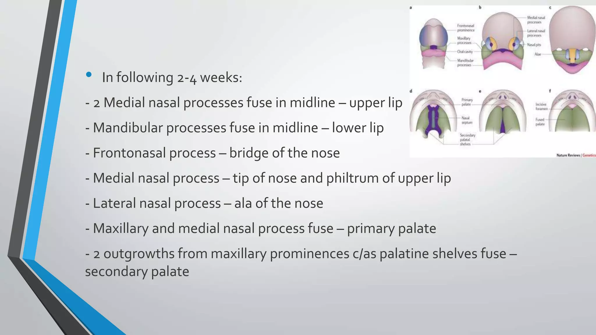 Anesthetic Management for Cleft Lip & Palate | PPTX