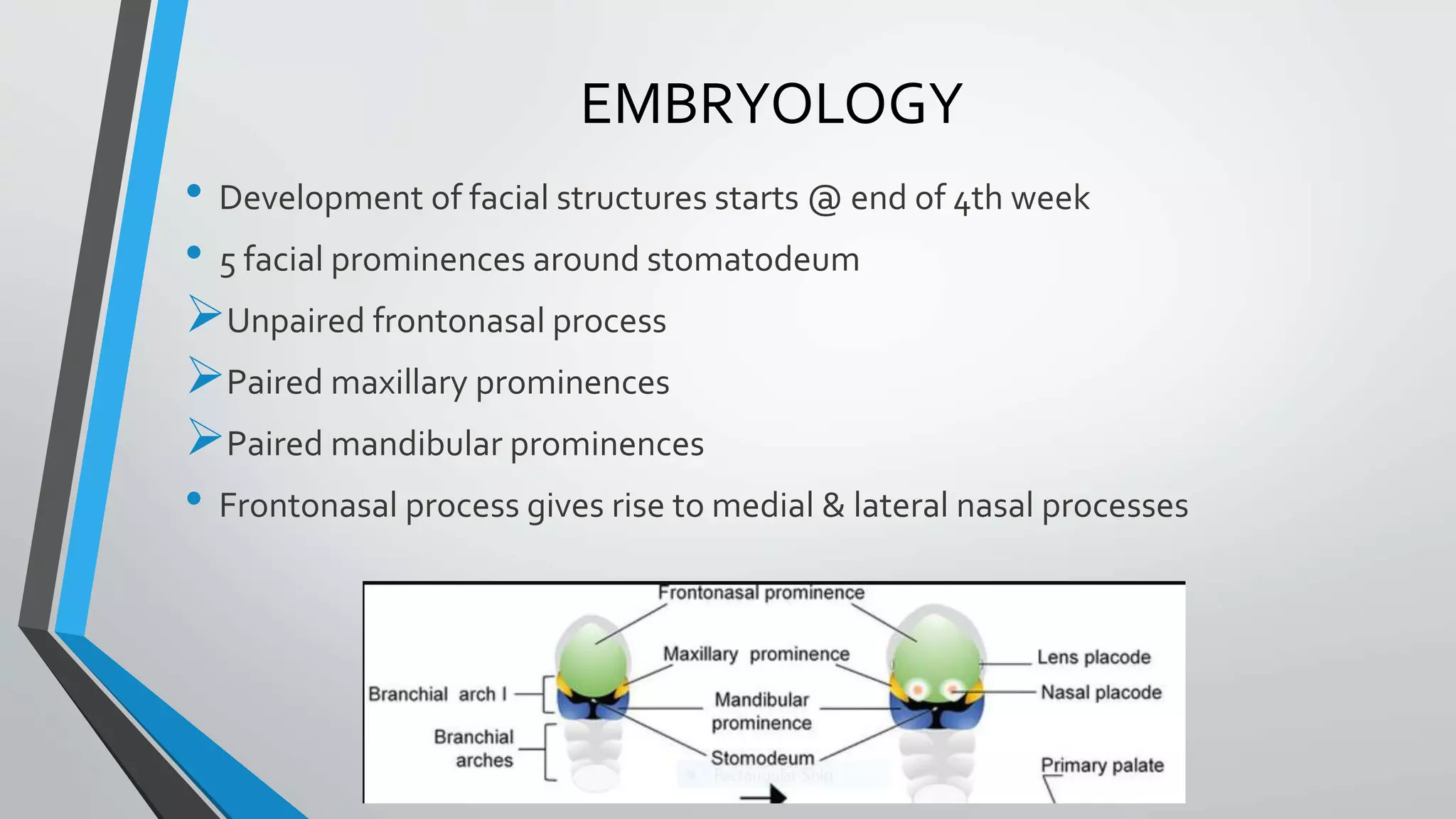 Anesthetic Management for Cleft Lip & Palate | PPTX