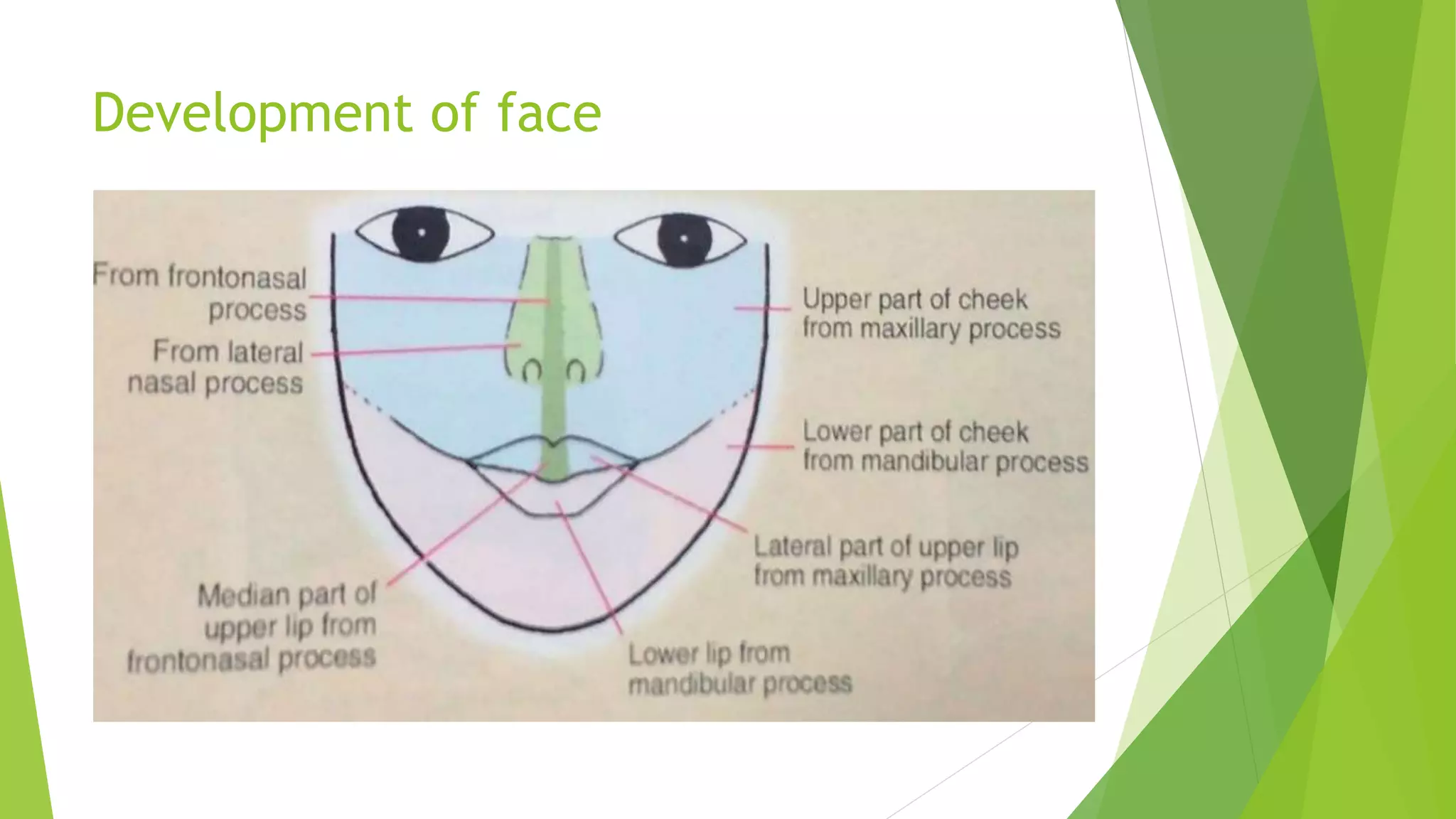 Cleft lip, Cleft palate & Spina bifida | PPTX