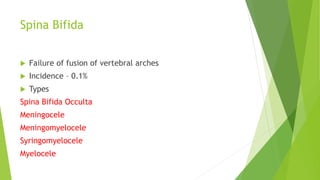 Cleft lip, Cleft palate & Spina bifida | PPTX