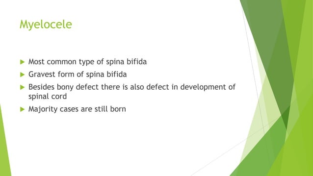 Cleft lip, Cleft palate & Spina bifida | PPTX