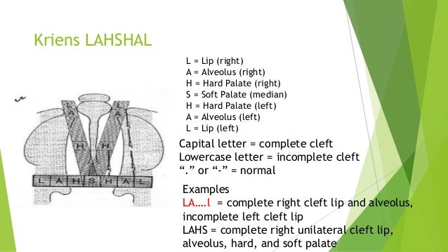 Cleft lip, Cleft palate & Spina bifida