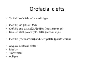 cleft lip n palate.pptx | Ear, Nose and Throat Conditions | Diseases and Conditions