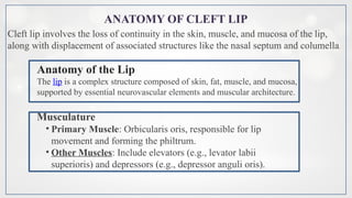 cleft lip and its management protocols.pptx