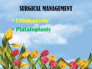 Cleft lip & palate | PPSX