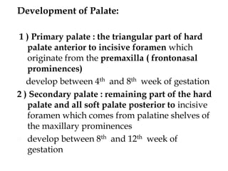 Cleft lip and palate | PPTX