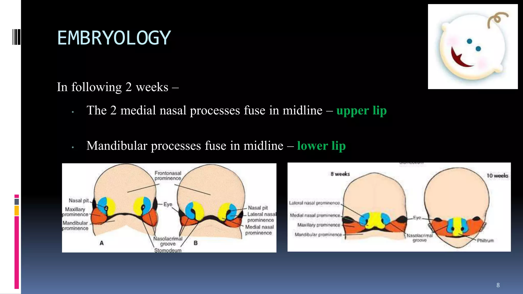 CLEFT LIP & PALATE | PPT