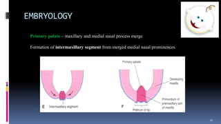 CLEFT LIP & PALATE | PPT