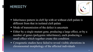 CLEFT LIP & PALATE | PPT