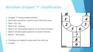 Cleft lip & palate | PPT