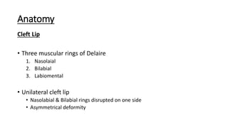 Cleft lip and palate | PPTX