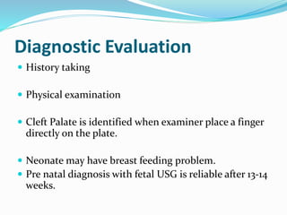 Cleft lip palate.pptx