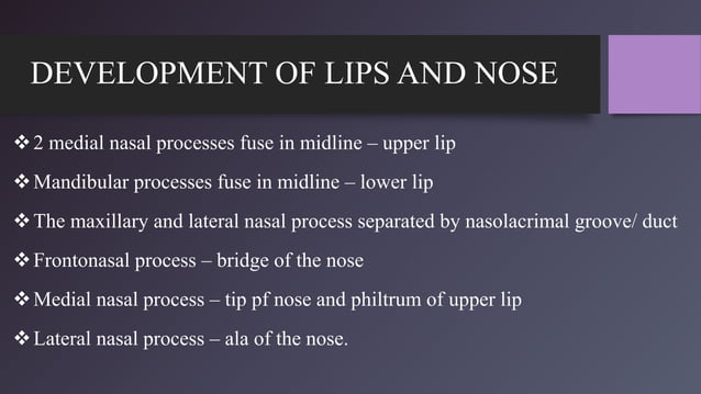 Presentation on Cleft Lip and Cleft Palate | PPTX | Pregnancy | Reproductive Health