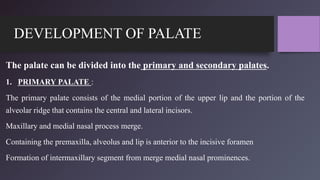 Presentation on Cleft Lip and Cleft Palate | PPTX