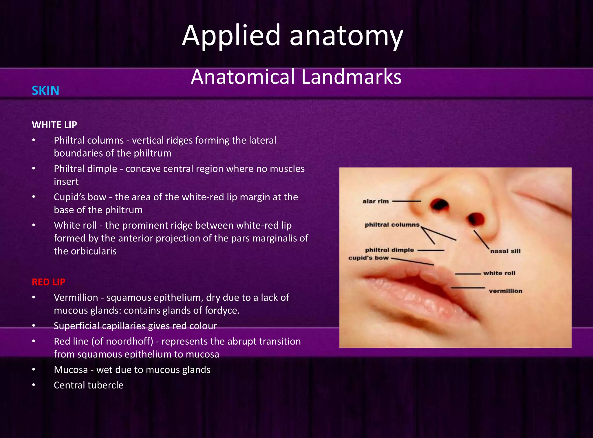 Cleft lip repair | PPTX
