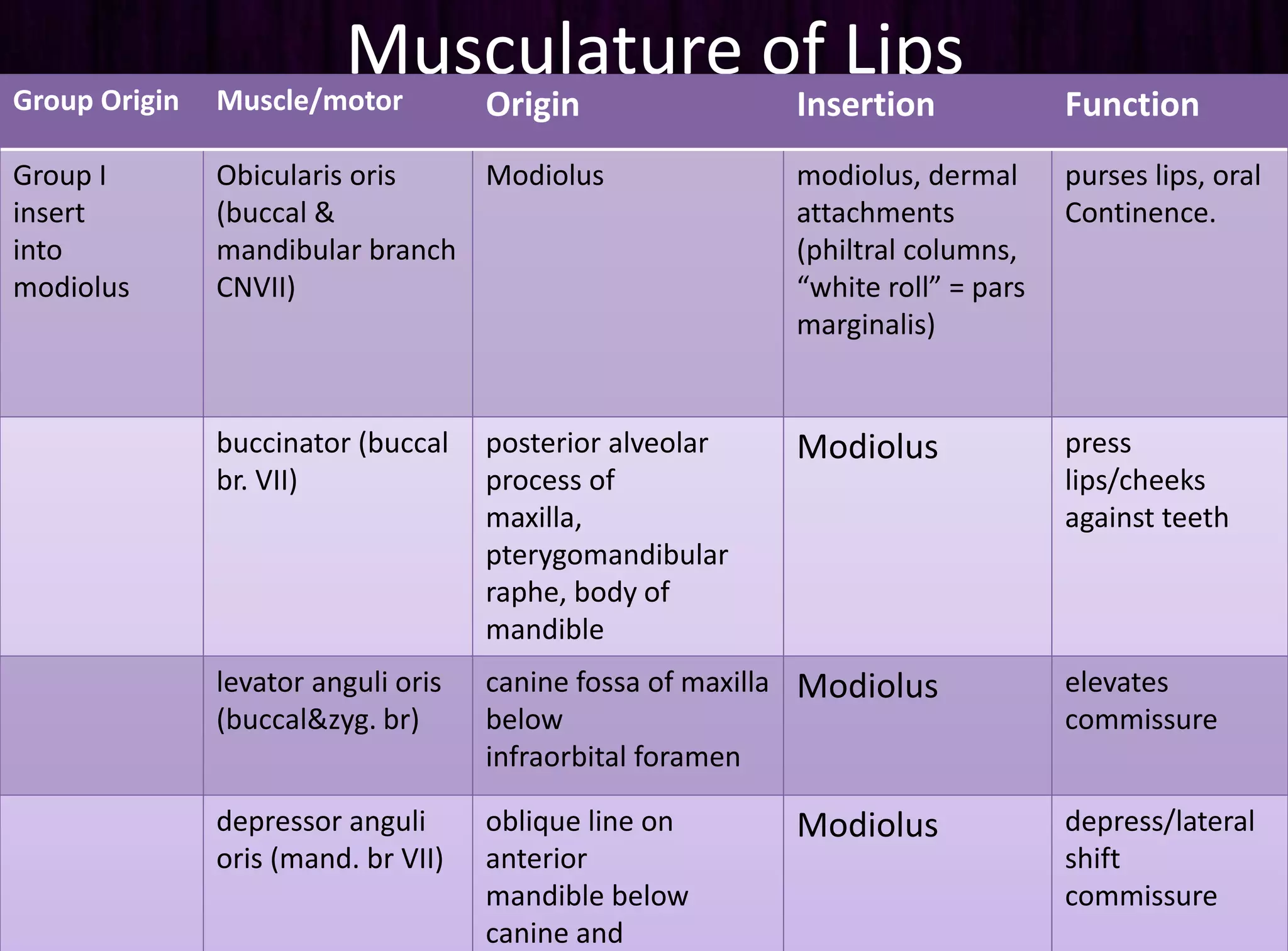 Cleft lip repair | PPTX