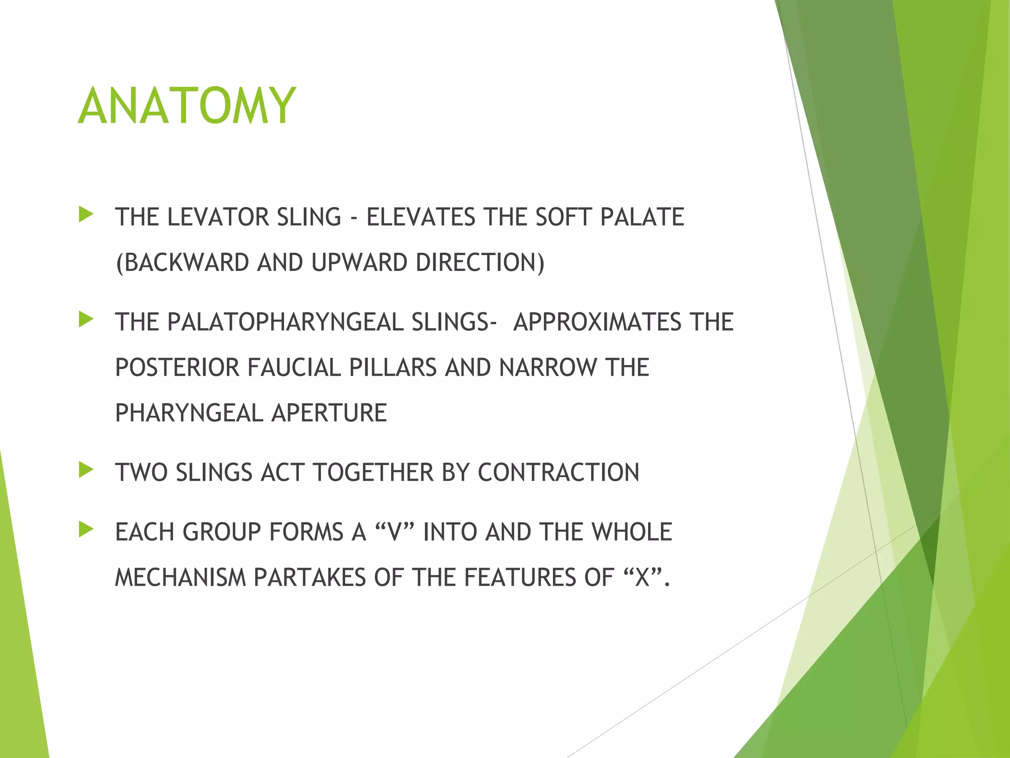 Surgical treatments in Cleft palate | PPT