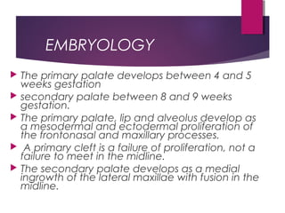 Cleft palate Lecture notes ppt | PPT