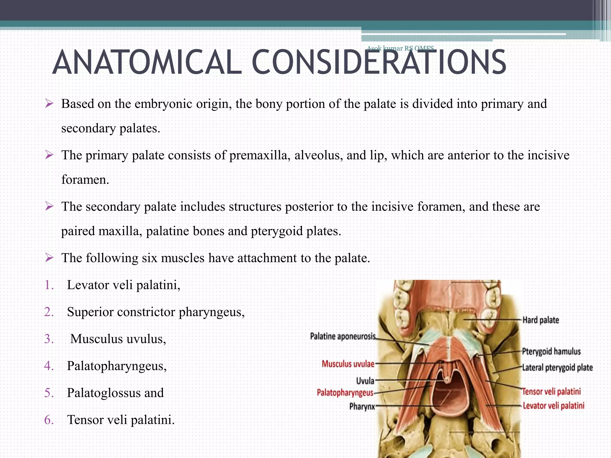 Cleft palate | PDF