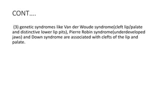 cleft palate. pptx | PPT