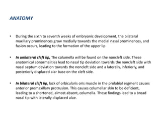 CLEFT LIP AND PALATE PART 3 - SURGICAL.pptx