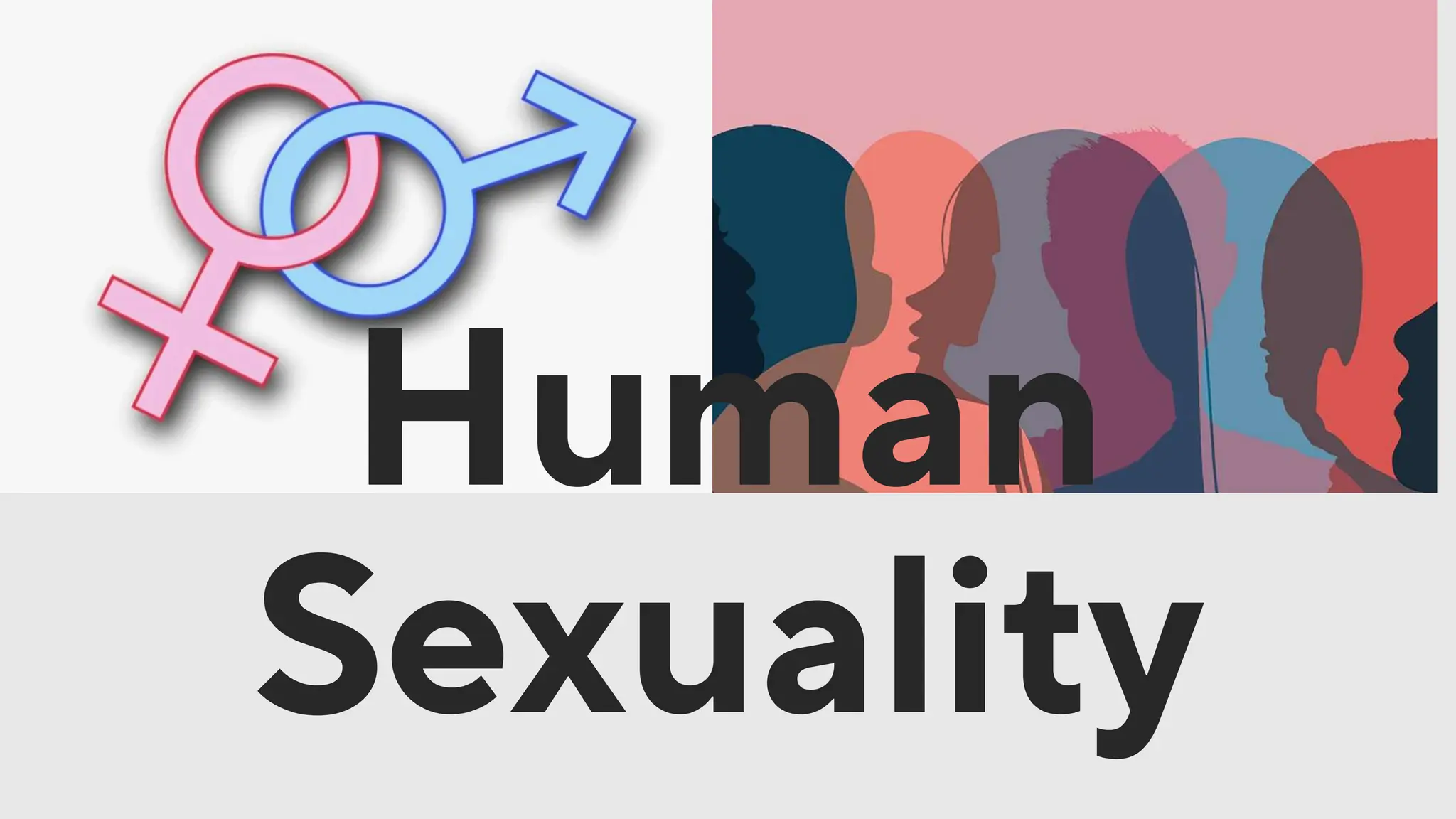 CLE Human Sexuality.pptx | Adult & Explicit Sexual Content | Sensitive ...