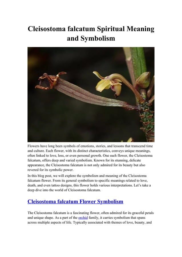 Cleisostoma falcatum Spiritual Meaning and Symbolism.docx
