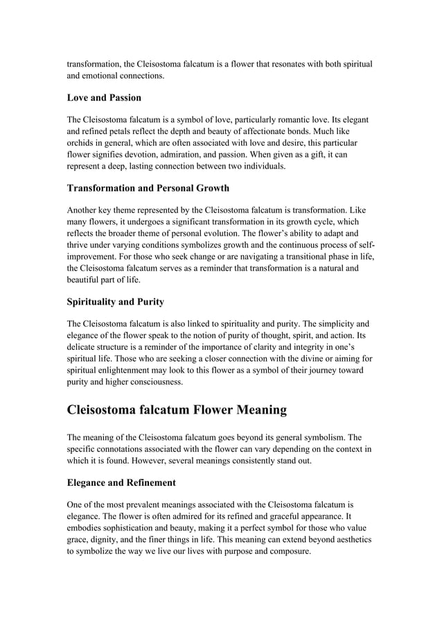 Cleisostoma falcatum Spiritual Meaning and Symbolism.docx