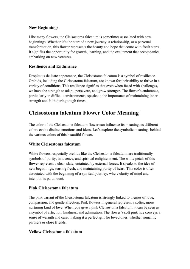 Cleisostoma falcatum Spiritual Meaning and Symbolism.docx