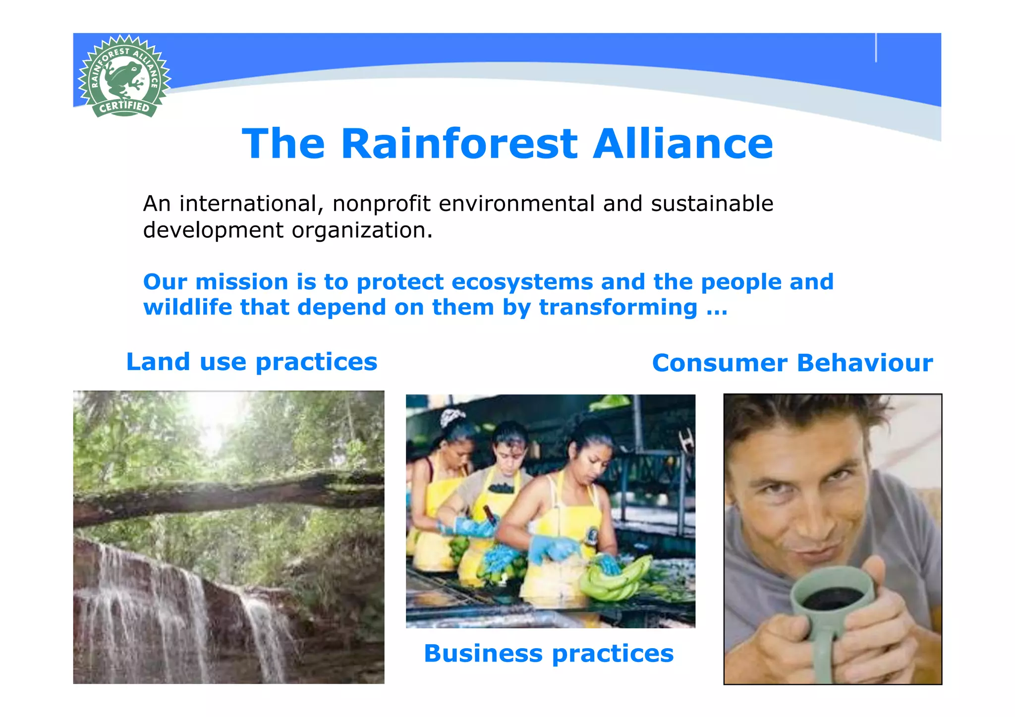 Rainforest Alliance | PDF