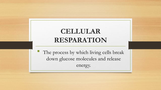 Cellular Respiration presentation in Science | PPTX