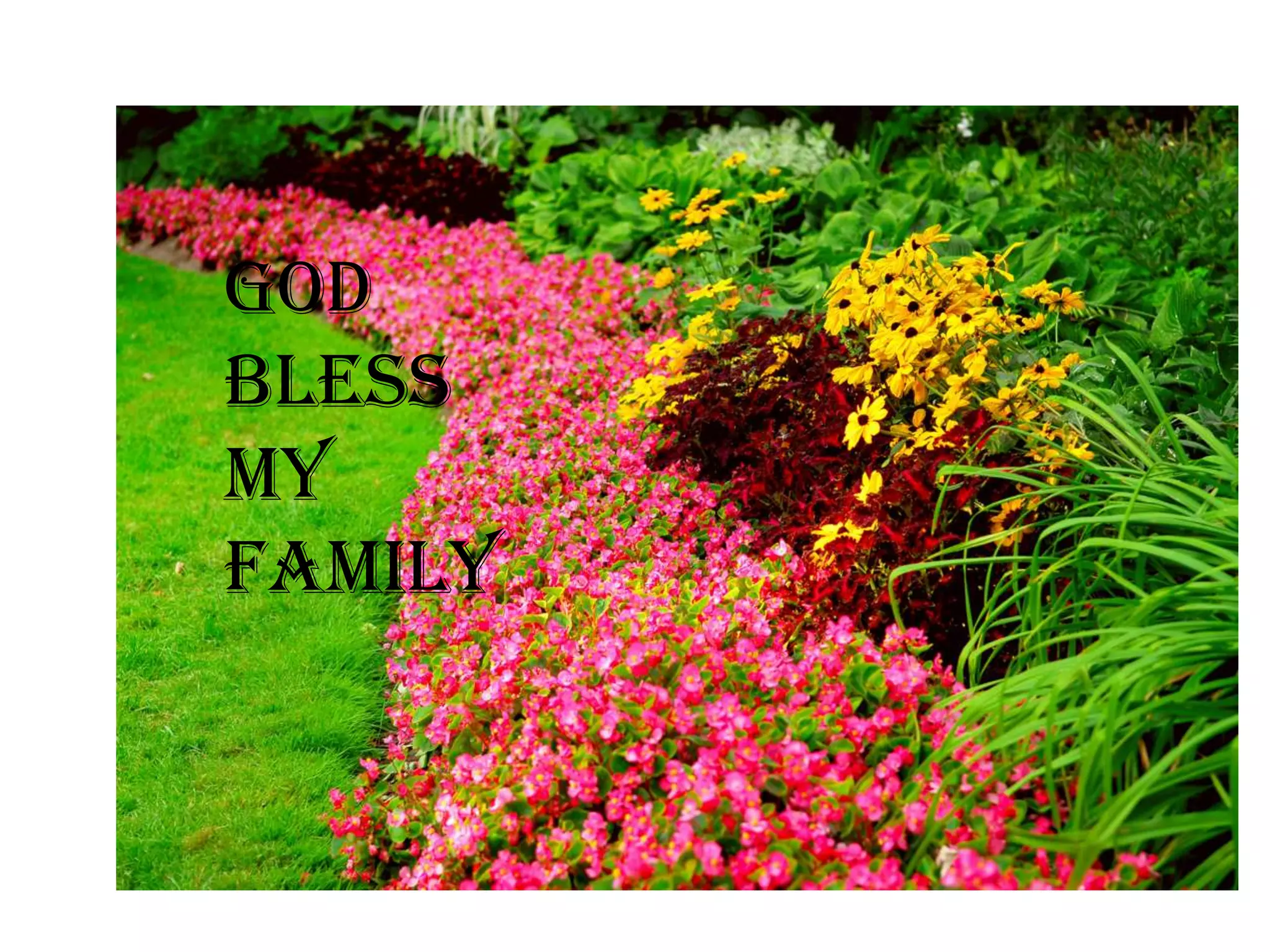 Cleo presentation | PPTX