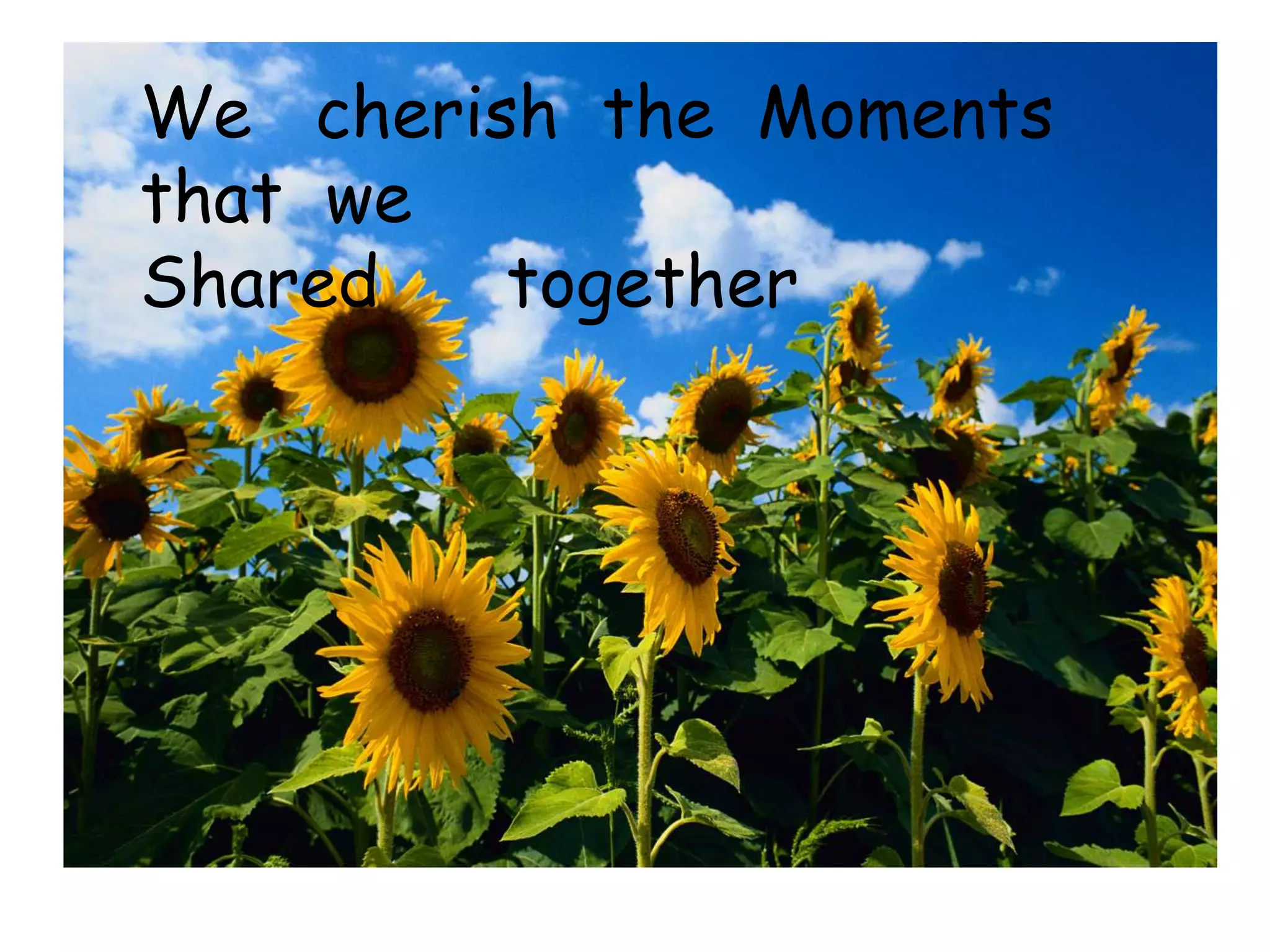 Cleo presentation | PPTX