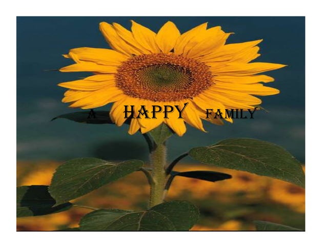 Cleo presentation | PPTX