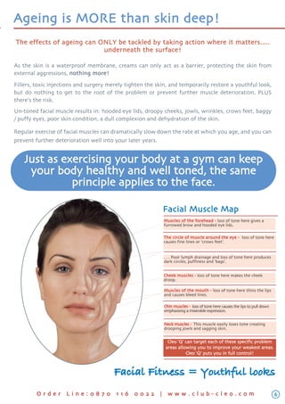 Cleo Q Brochure | PDF