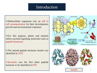 Cle peptides the power of moving around | PPTX | Biological Sciences ...