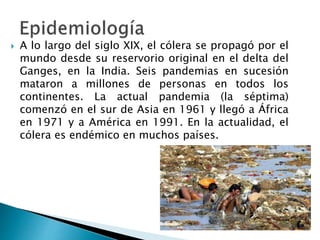 Cólera epidemiología | PPTX