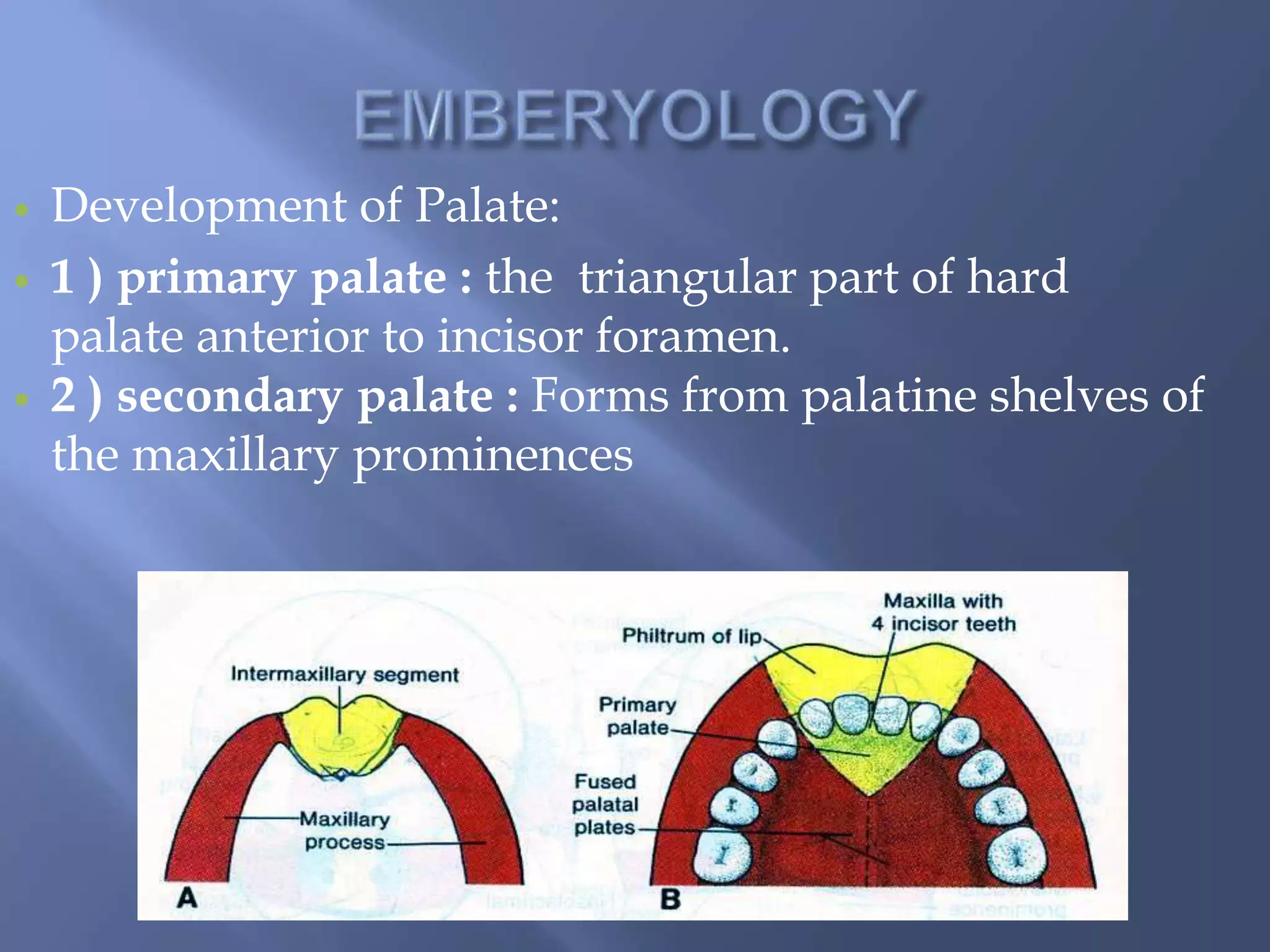 Clet lip and palate | PPTX