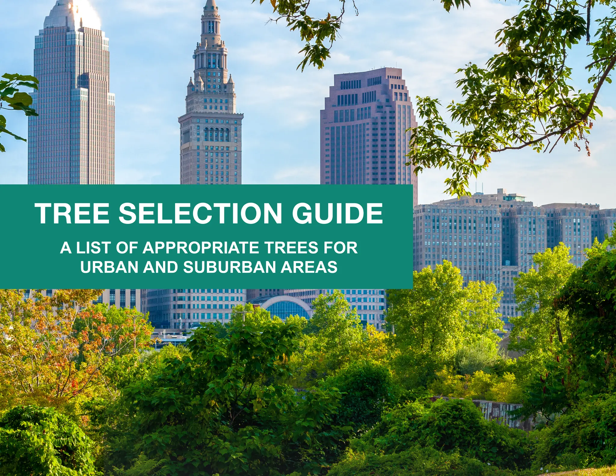 Cleveland Tree Plan Tree Selection Guide | PPT