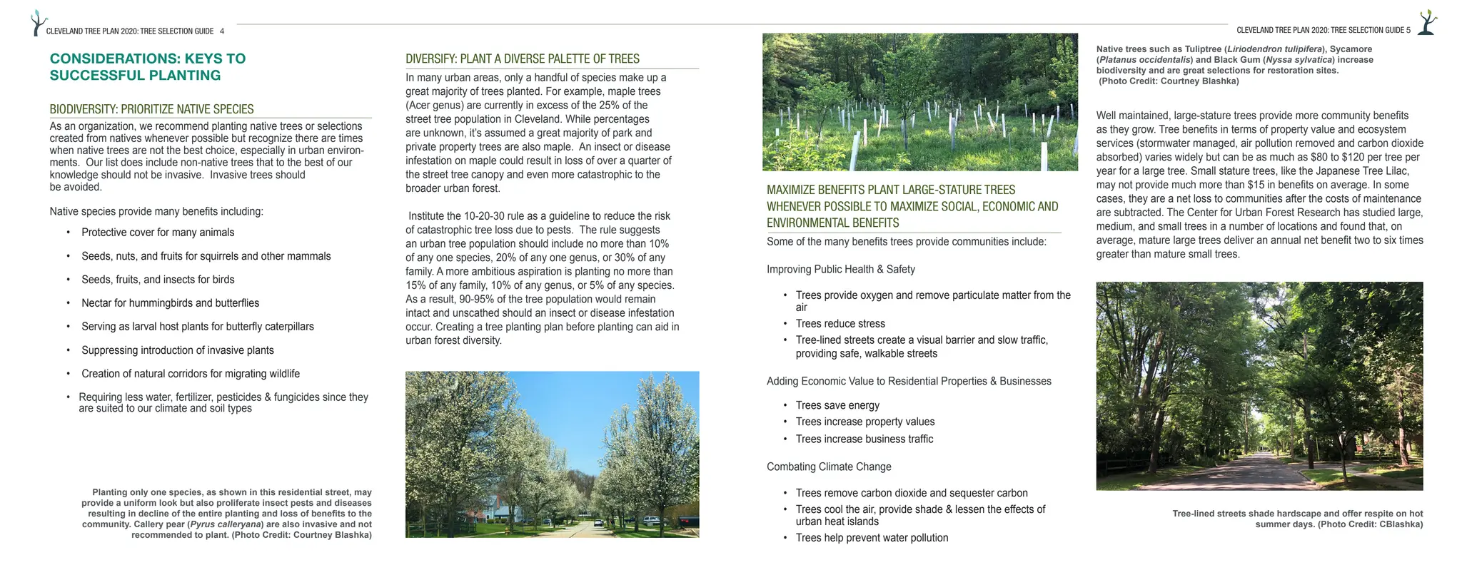 Cleveland Tree Plan Tree Selection Guide | PPT