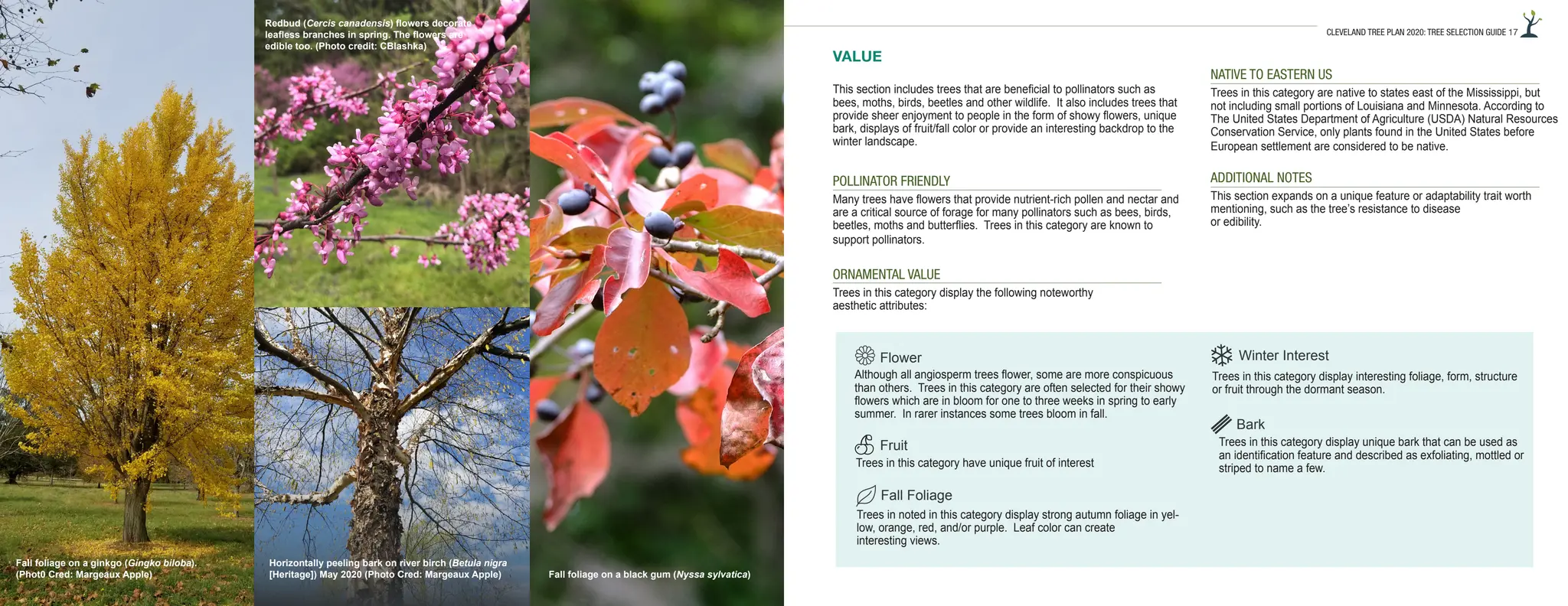 Cleveland Tree Plan Tree Selection Guide | PPT