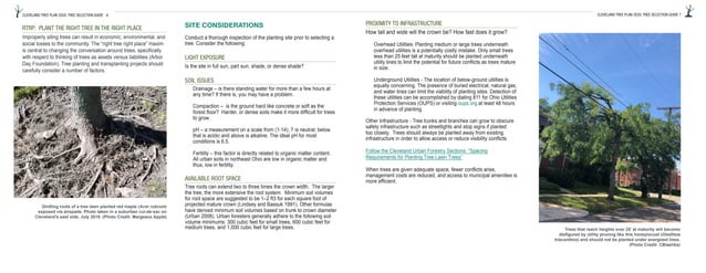 Cleveland Tree Plan Tree Selection Guide | PPT