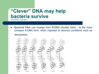 “Clever” DNA may help bacteria survive and How DNA is “edited” to ...