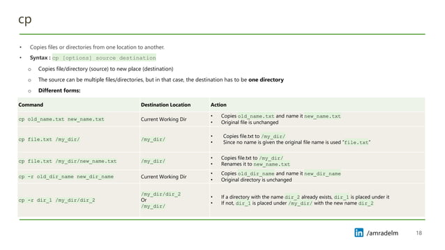 Chip Designer's Code - Linux Terminal Part 3 - File Handling | PDF