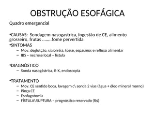 Sistema digestivo equino esofago e outro | PPT
