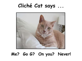 Cliché cat automatic | PPSX