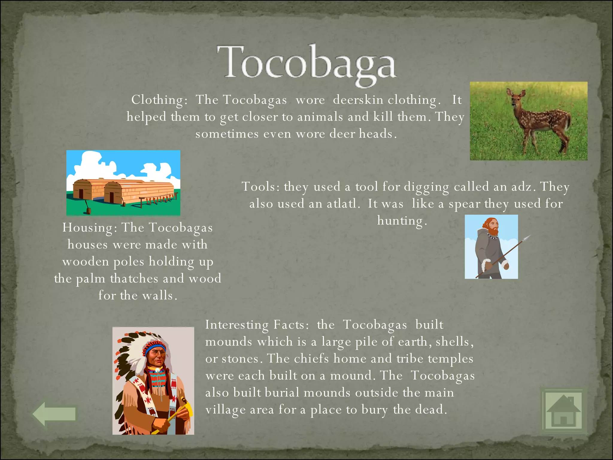 Native Floridians | PPT