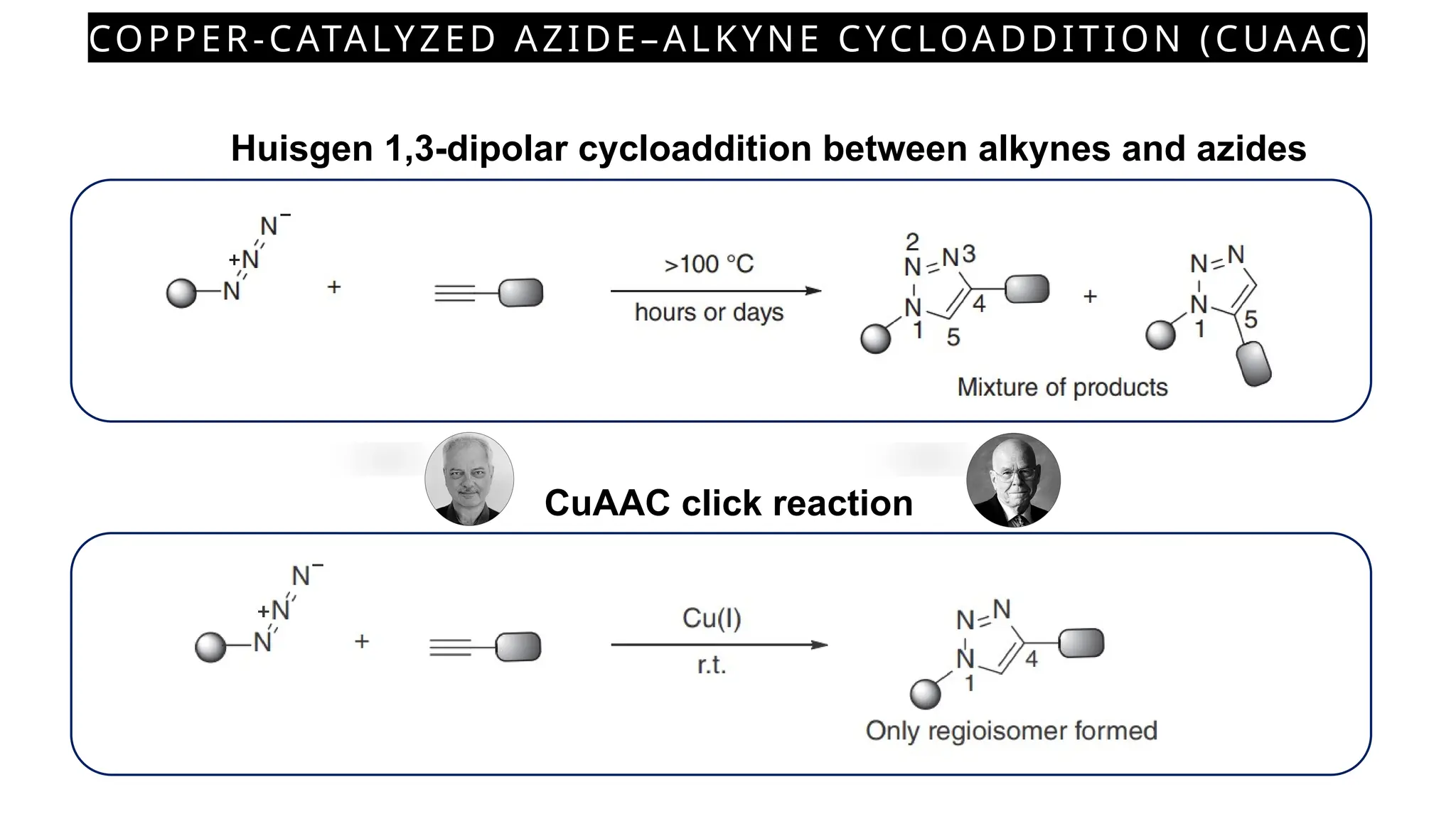 Click Chemistry and biorthogonal chemistry | PPTX | Chemistry | Science
